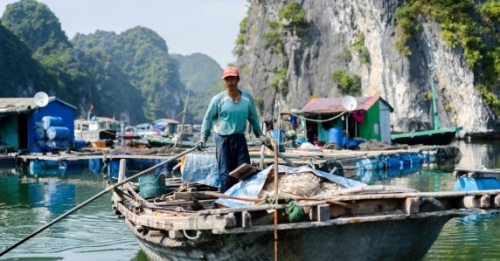 Découverte Le Village Flottant De Cai Beo Sur L'île De Cat Ba
